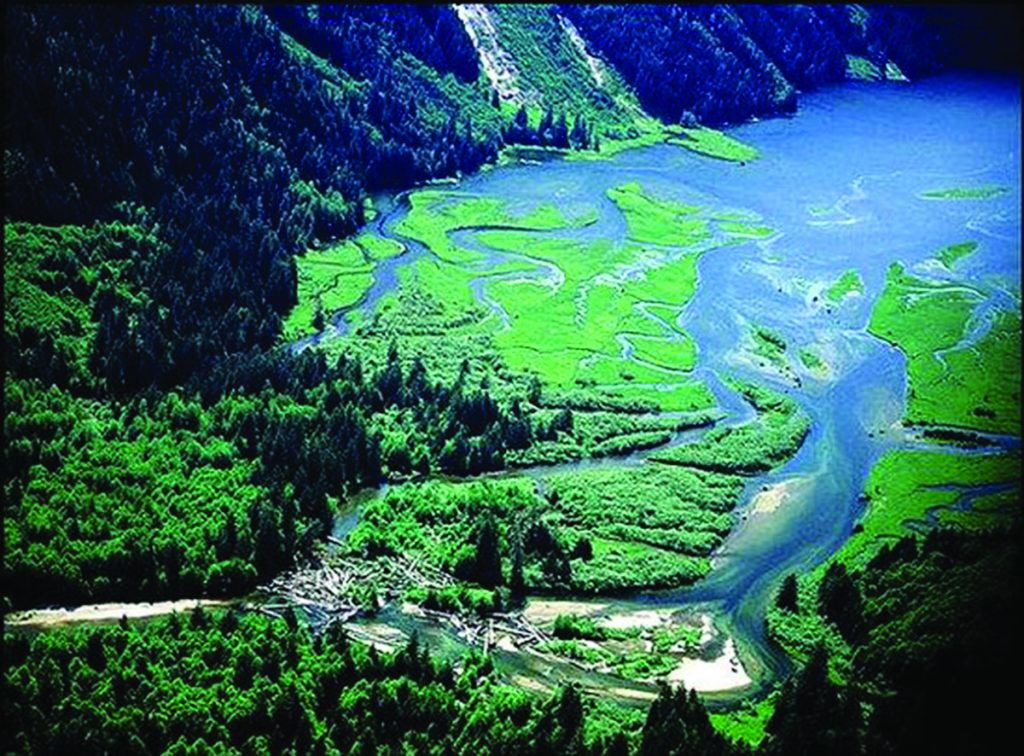 Canada dedicates rainforest to Queen’s Commonwealth Canopy - Guyana Times