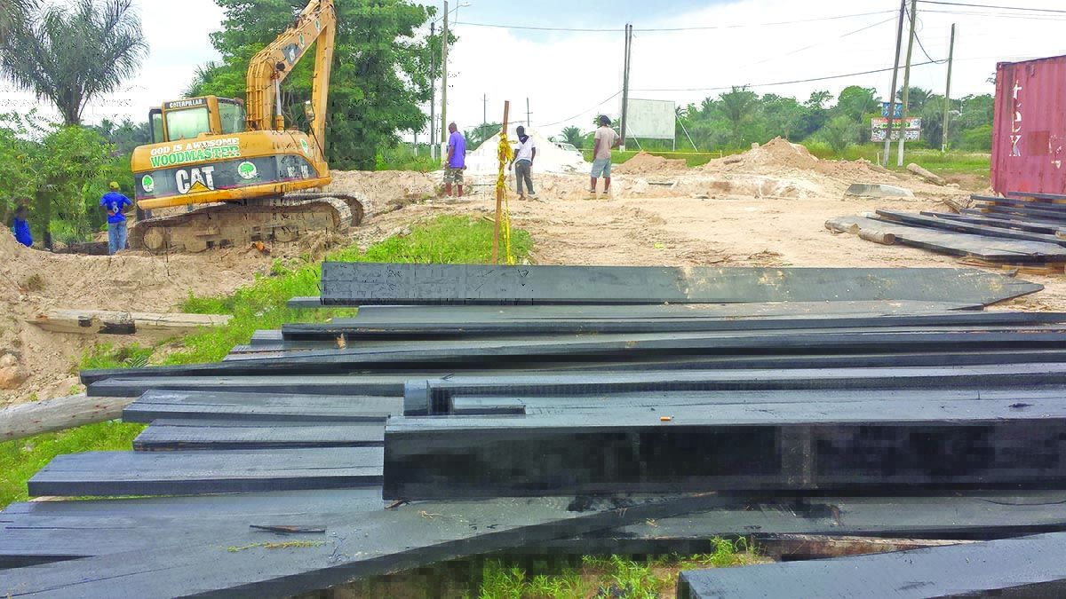 Region 10 Chairman calls for study - Guyana Times