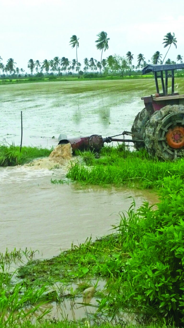 Heavy rainfall batters rice crop in Region 2 - Guyana Times