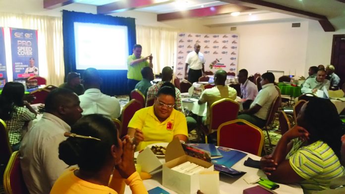 Harris Paints introduces new low budget line - Guyana Times