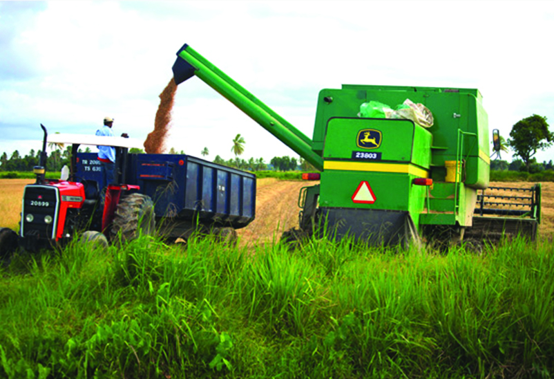 Rice harvesting commences in Region 2 - Guyana Times