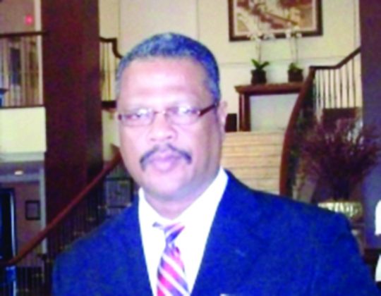 Local Govt Elections influenced rise of sustainable enterprises – CLO ...