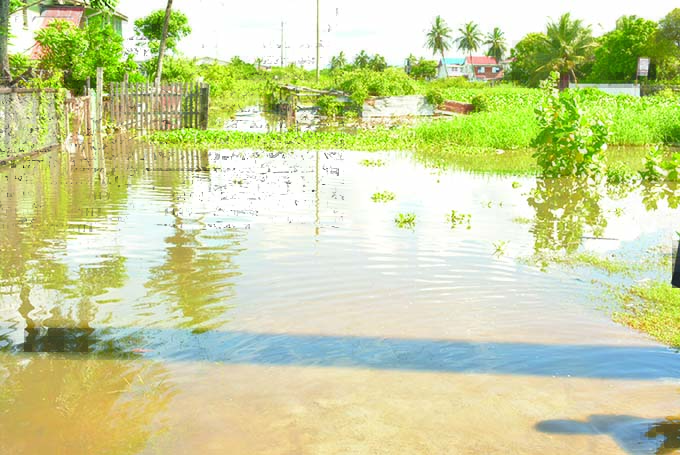 Clogged canal leaves Ogle inundated for days - Guyana Times