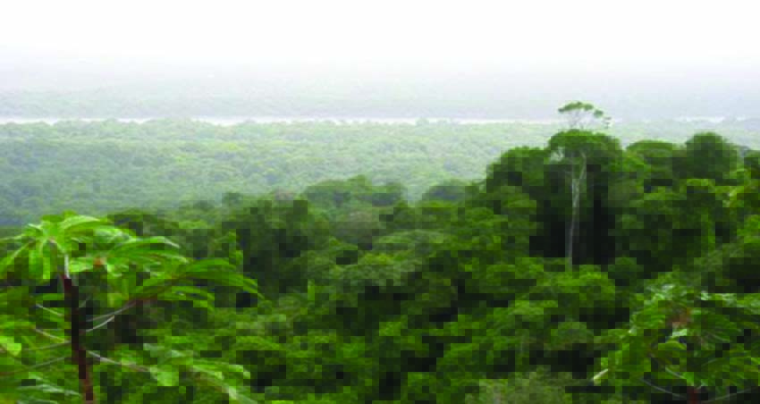 Conservation - a niche field for new careers - Guyana Times
