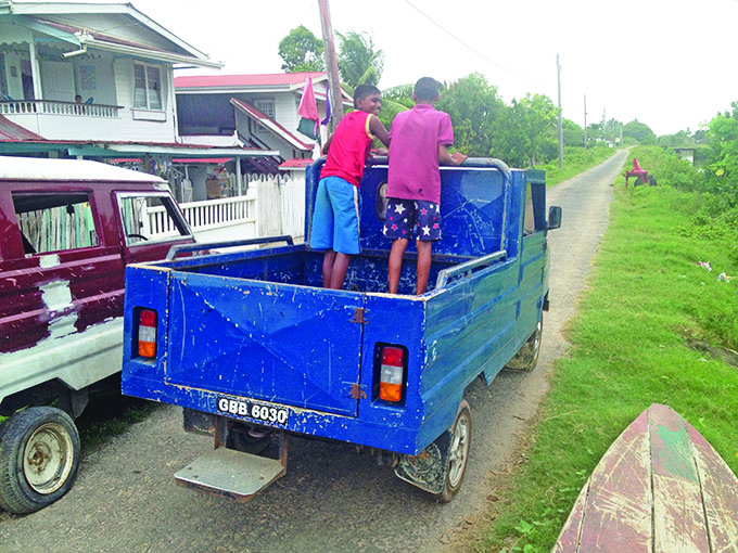 Tapirs in Corriverton becoming extinct - Guyana Times
