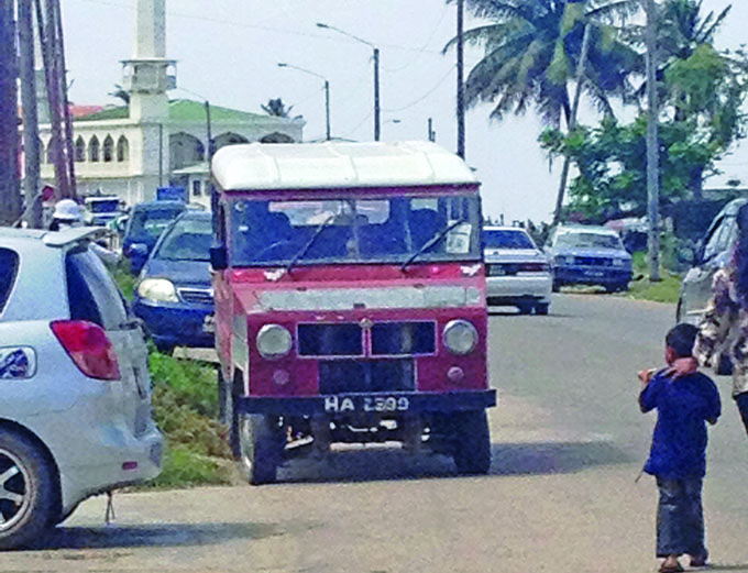 Tapirs in Corriverton becoming extinct - Guyana Times