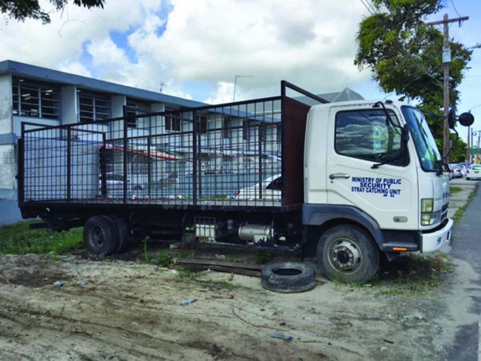 Impounding of stray animals’ waiver ends - Guyana Times
