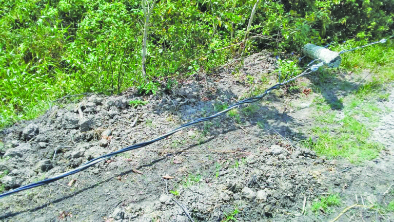 Fallen electric wires pose threat in Black Bush Polder residents ...