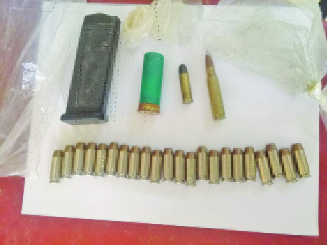 Pork-knocker nabbed with ammo - Guyana Times