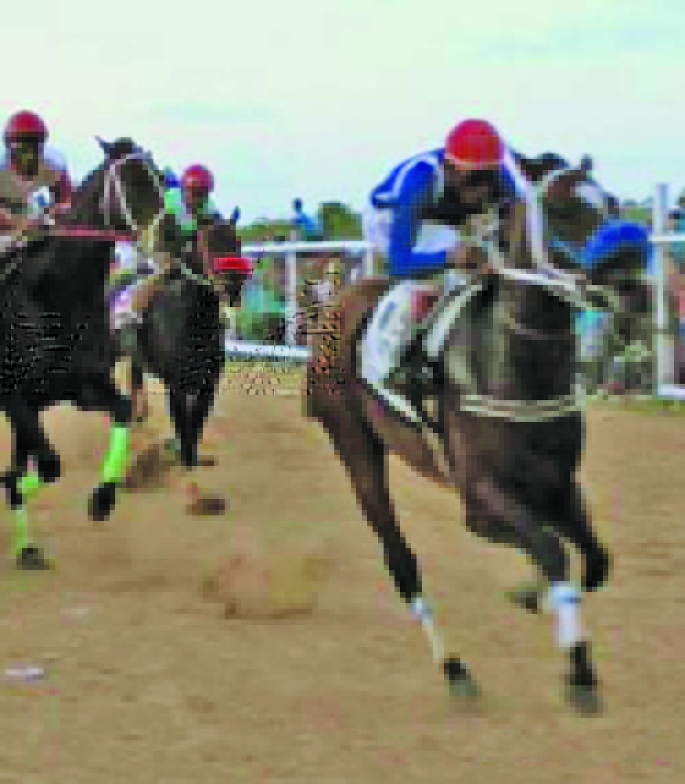 Race for the tape heats up off the track - Guyana Times