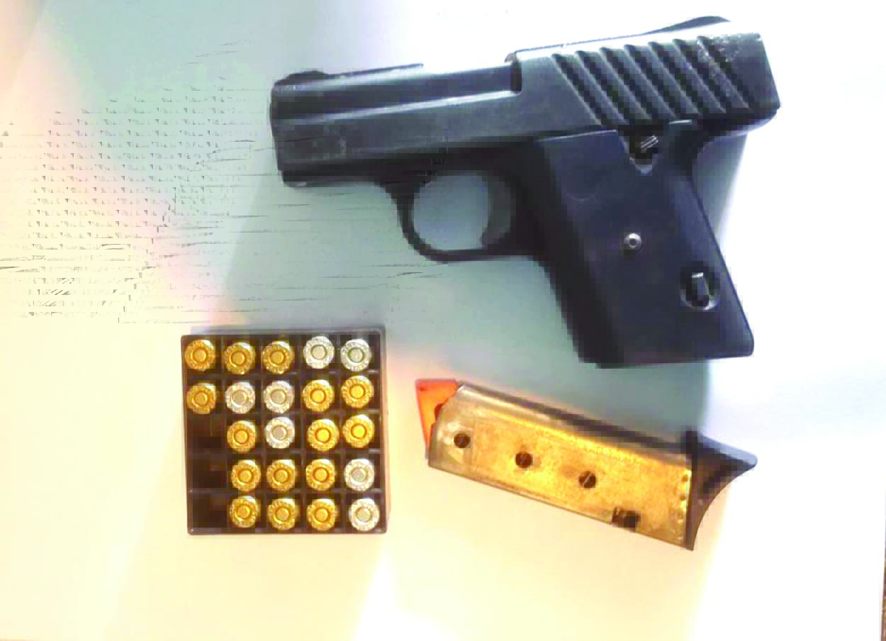 Mabura man nabbed with illegal gun, ammo - Guyana Times