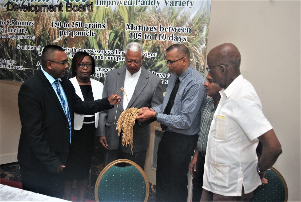 Local rice production to be boosted - Guyana Times