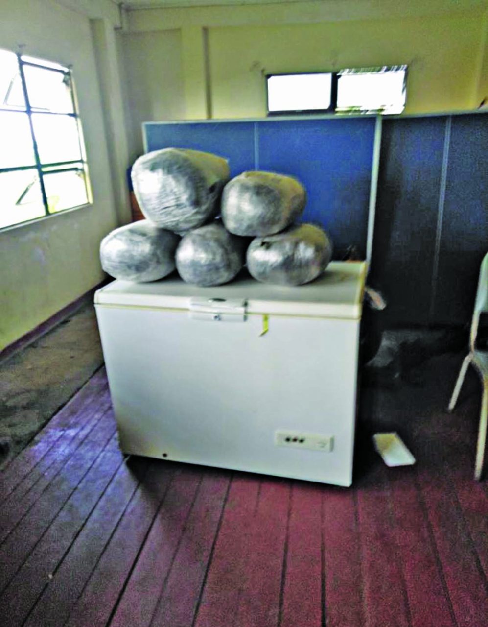 60-year-old remanded on narco trafficking charge - Guyana Times