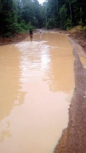 Works on Linden/Lethem trail a work in progress – Harmon - Guyana Times
