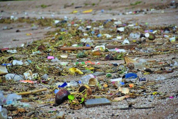 Careless dumping of single-use plastics harming the environment ...