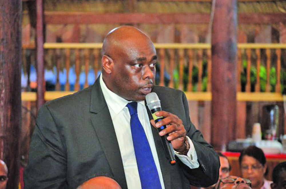 Guyana “well-placed” to take advantage of global green economy – Kirk ...