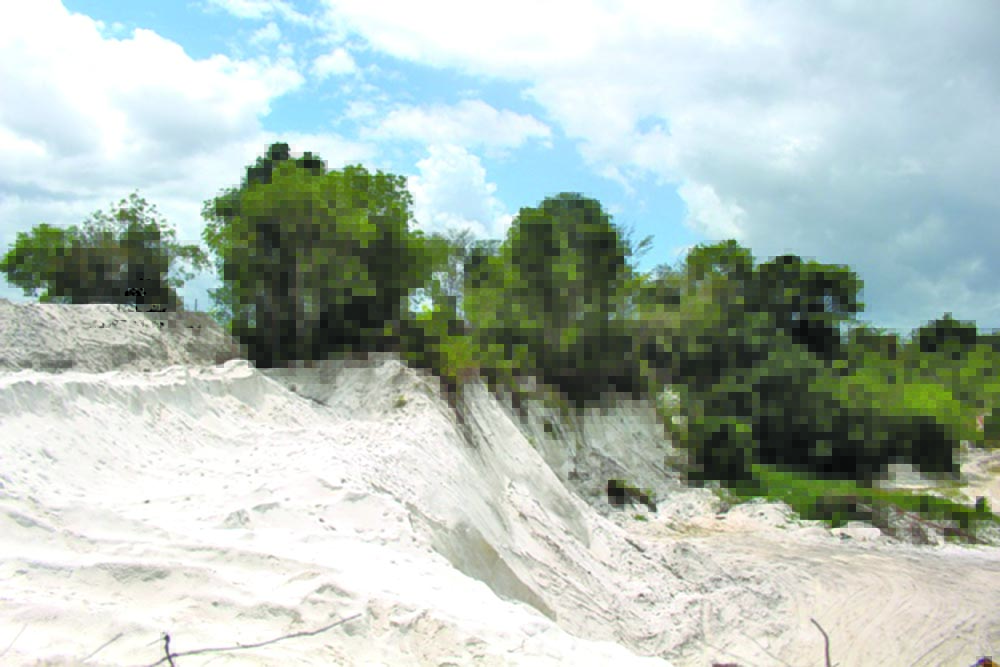 Closed sandpit to be converted into green space – Mayor - Guyana Times