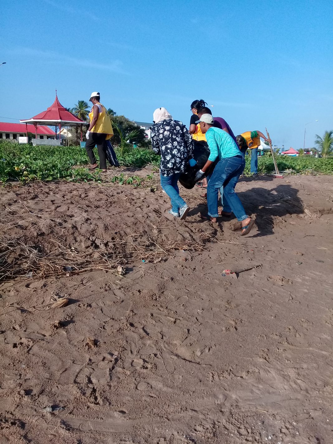 More than ever before, we should celebrate International Coastal Clean ...