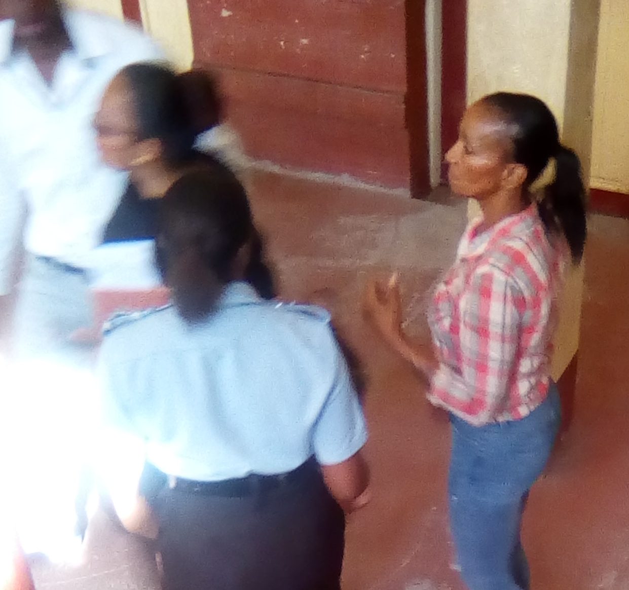 Bartica woman slapped with narco trafficking charge - Guyana Times