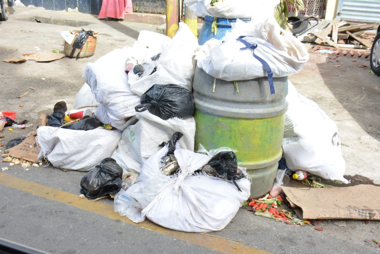 “From a Garden City to a Garbage City” – citizens - Guyana Times