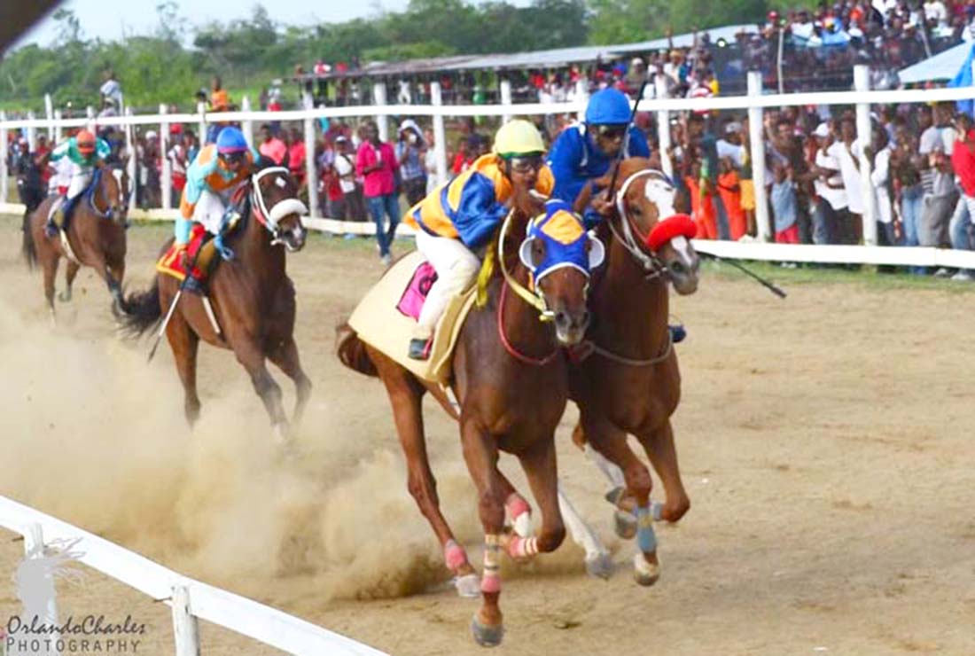 Karibee Rice Mega Sprint Classic horse race meet set for today - Guyana ...