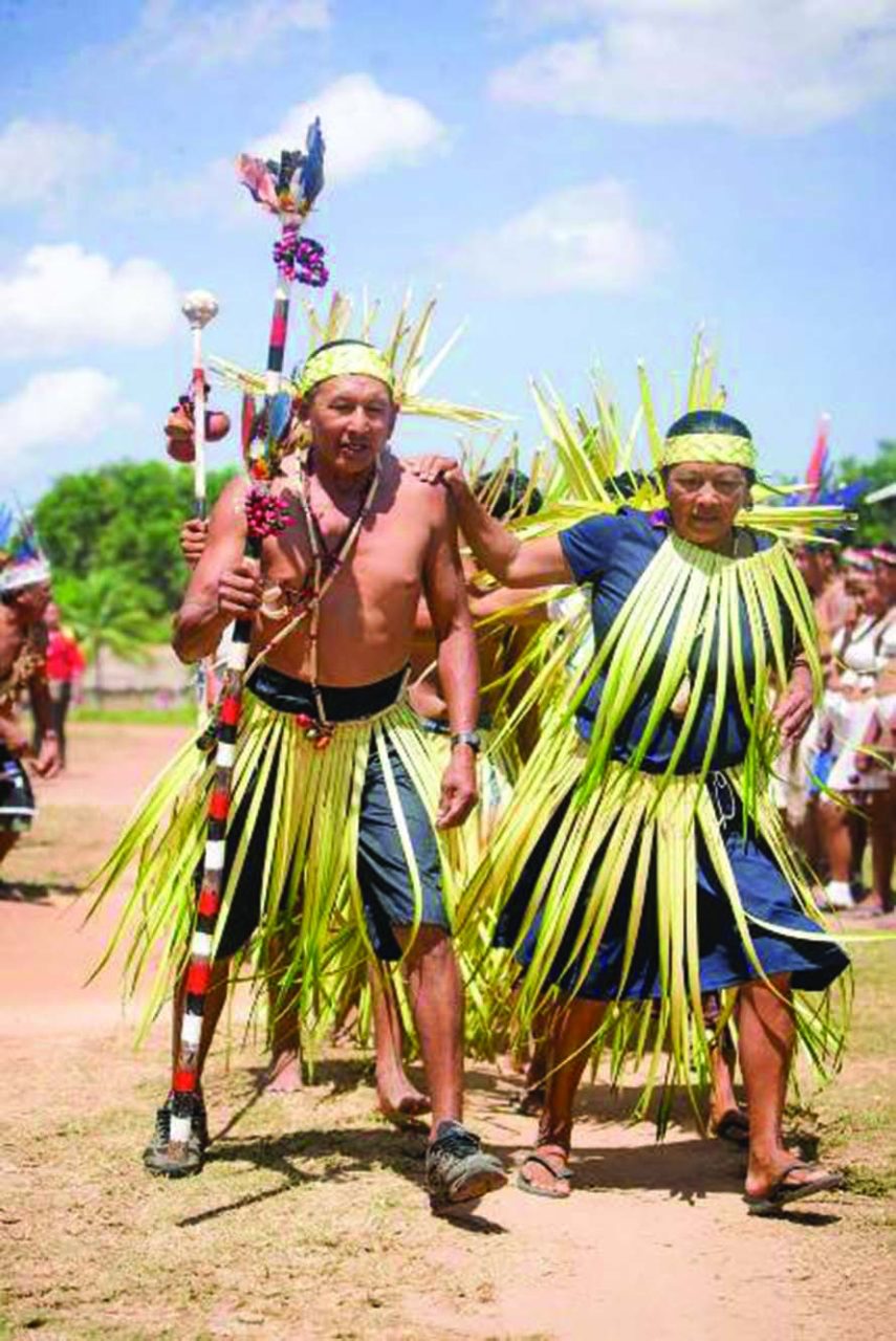 Year of Indigenous Languages to be launched today - Guyana Times