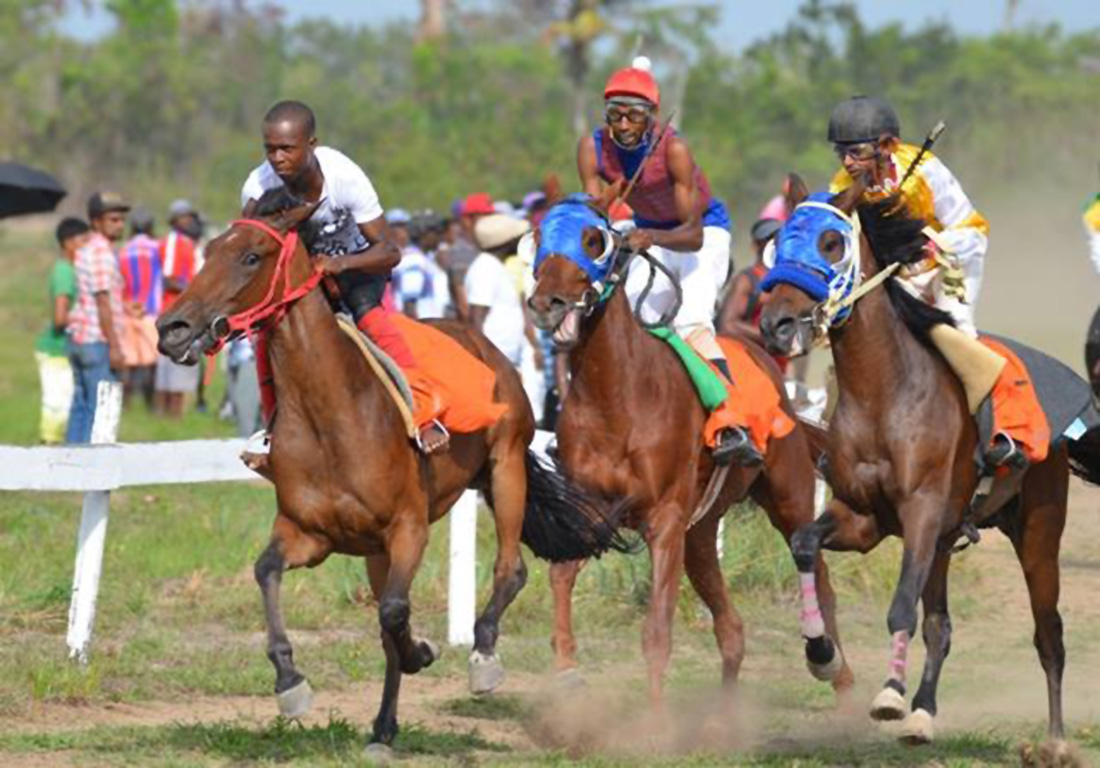 Georgetown Turf Club marks July 7 Meet - Guyana Times