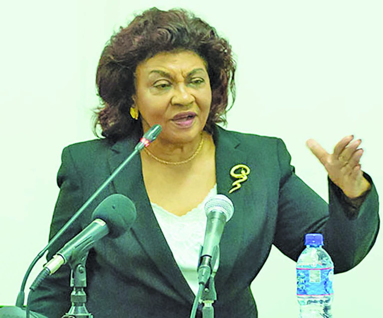 Embarking on H2H did not take into account NCM – CJ - Guyana Times