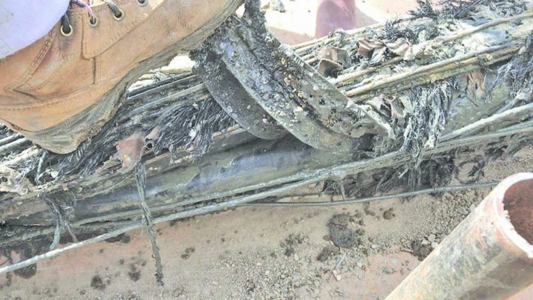 Damaged submarine cable to be restored shortly - Patterson - Guyana Times