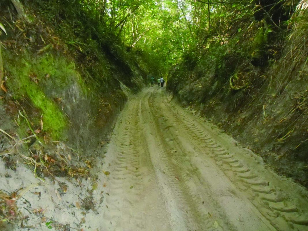 Orealla leading the way in eco-tourism - Guyana Times