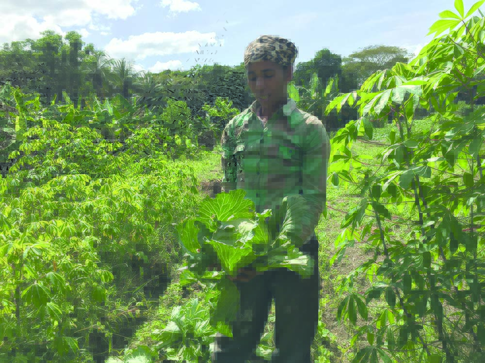 Linden farmer Myrtle Gentle finds solace and employment through farming ...