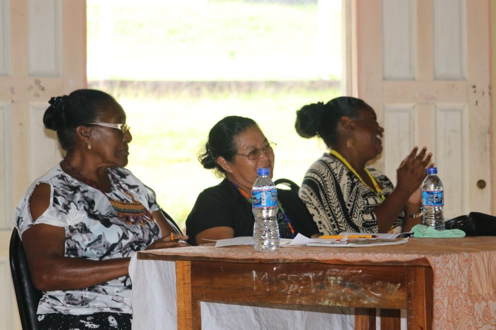 THE GREAT PATAMONA DEBATE – ‘languaging’ at 3000 feet above sea level ...