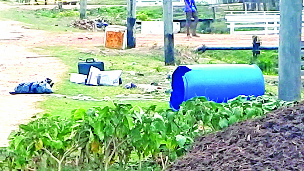 Suspect nabbed hiding under Canje Bridge - Guyana Times