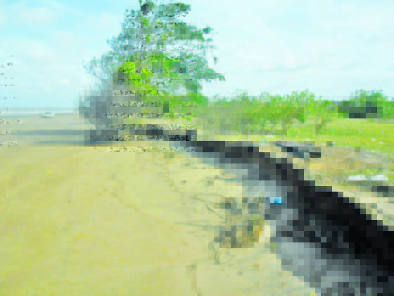 Erosion at No 63 Beach threatens residents - Guyana Times