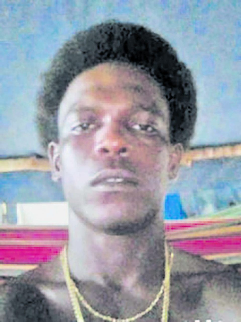Na Murder Suspect Nabbed In Stone Creek Backdam Guyana Times