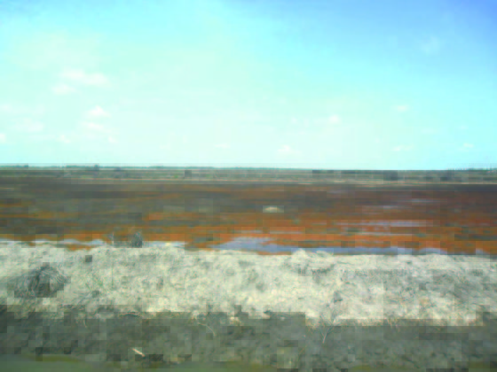 8 months after Mahaica floods, residents say not ready for another ...