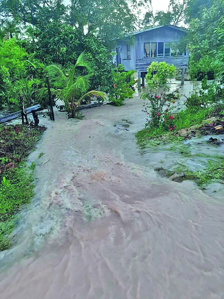 Coomacka homes inundated following heavy downpour - Guyana Times