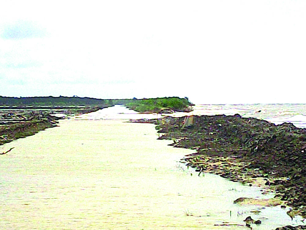 5000 acres of rice land threatened as Mahaica sea defence breached ...