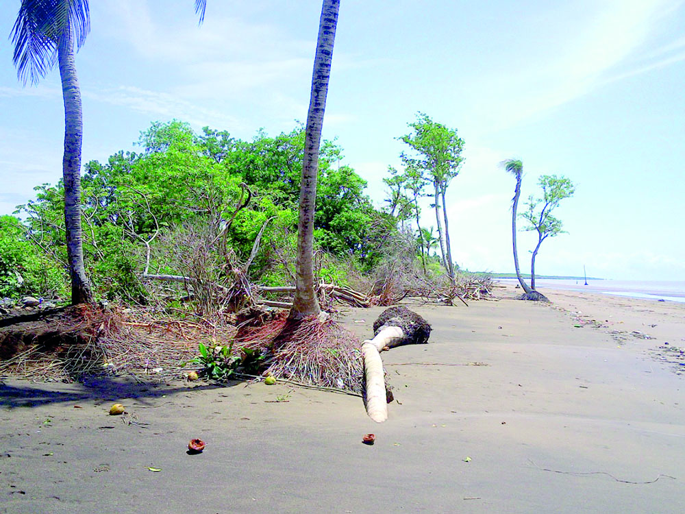 Corentyne Coast battered by massive Atlantic erosion - Guyana Times