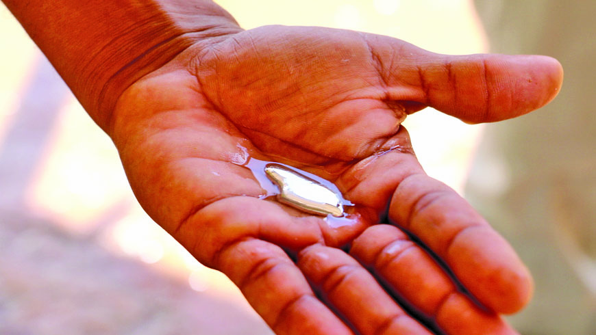 What you need to know about mercury exposure - Guyana Times