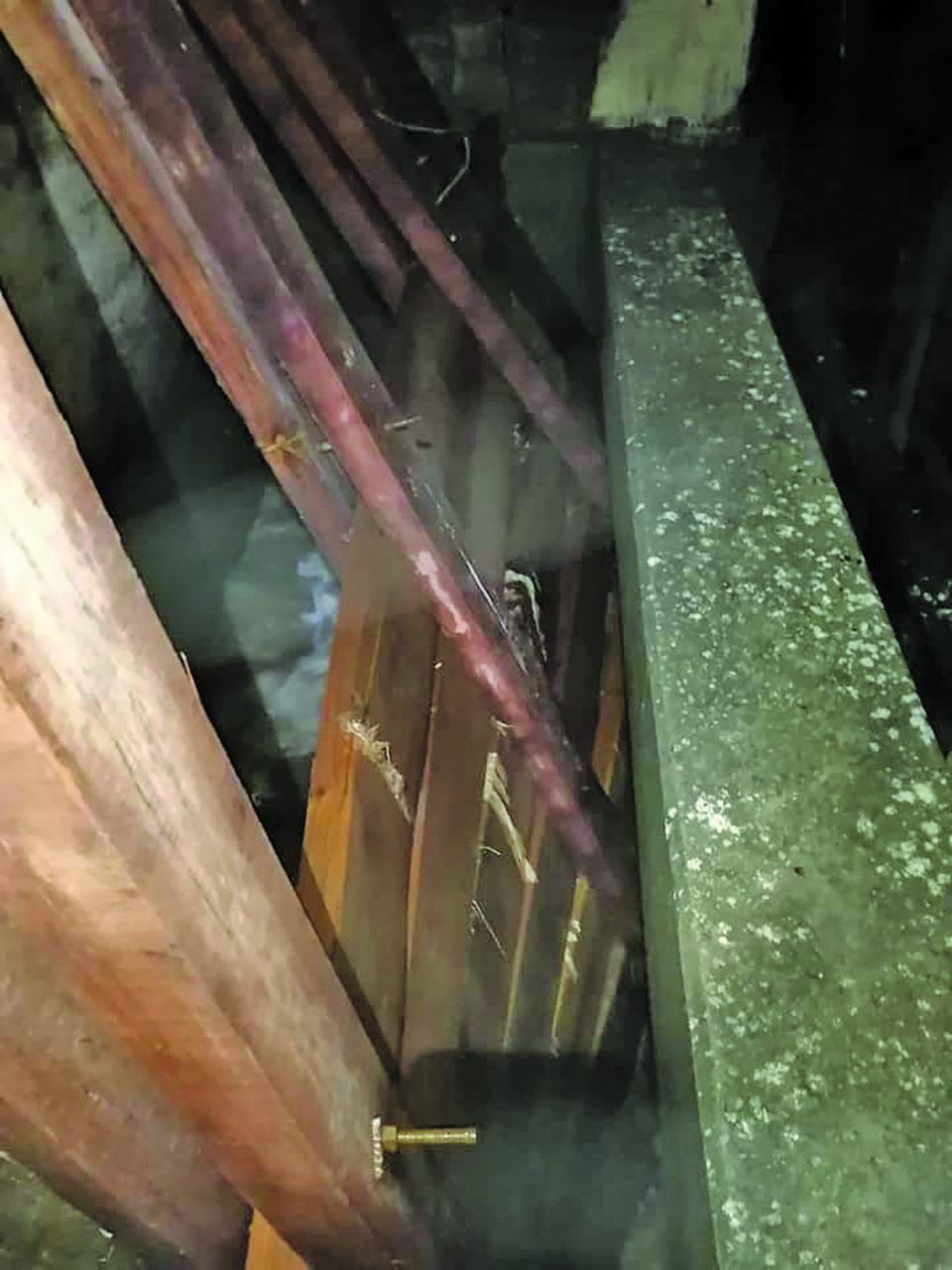 Major flooding averted after koker breach at Tarla Dam - Guyana Times