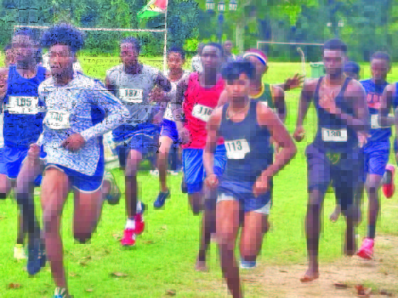Local athletes make impressive return - Guyana Times