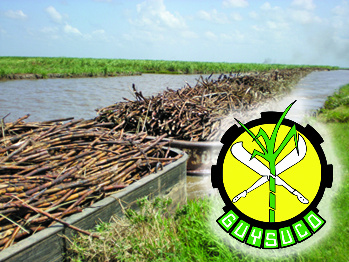 GuySuCo on road to lowest production in 50 years – GAWU - Guyana Times