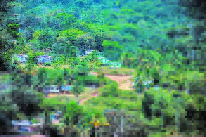 Electricity at Matthews Ridge restored after interruption last week ...