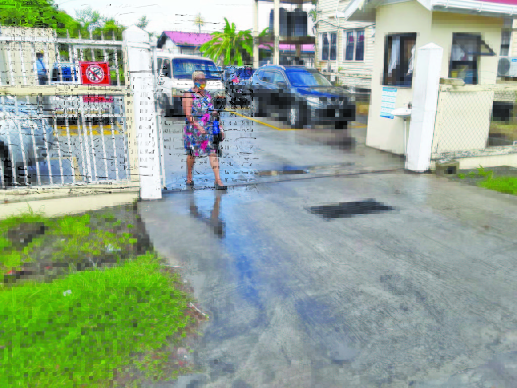 Volda Lawrence questioned by SOCU as probe widens - Guyana Times