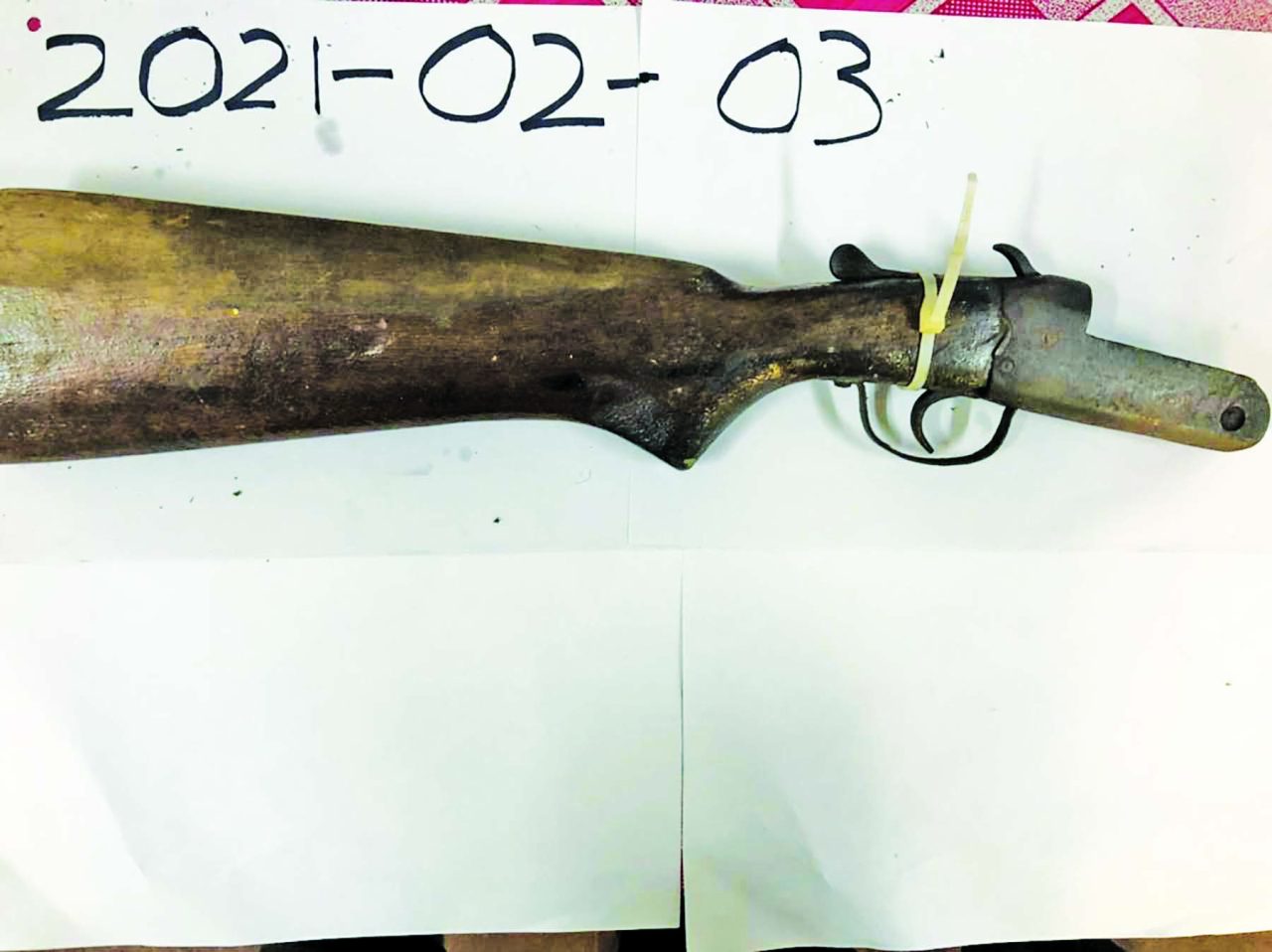 Police unearth ganja, guns, ammo in Berbice raid - Guyana Times