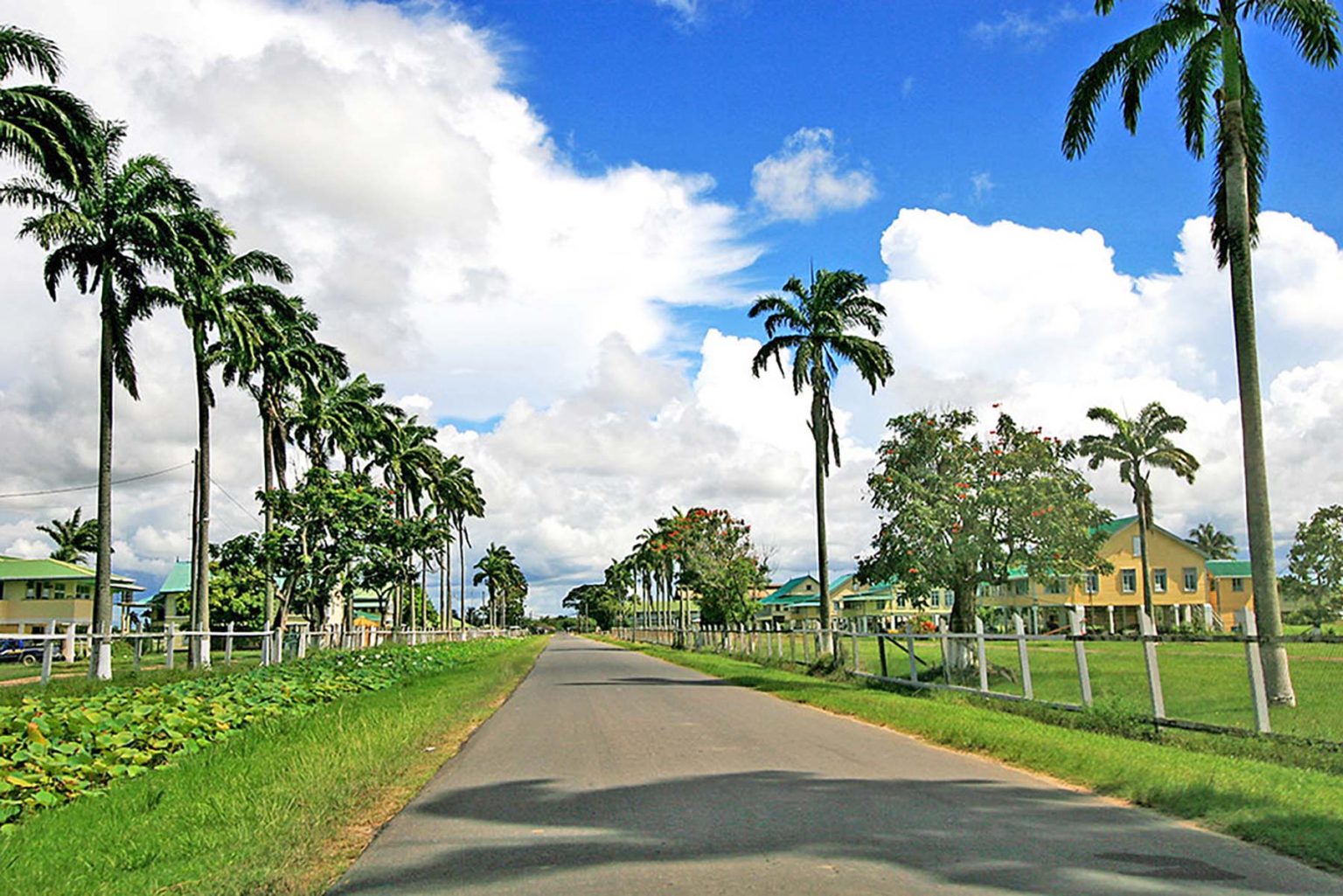 Close to 30,000 bags of sugar from Blairmont earmarked for Caricom ...