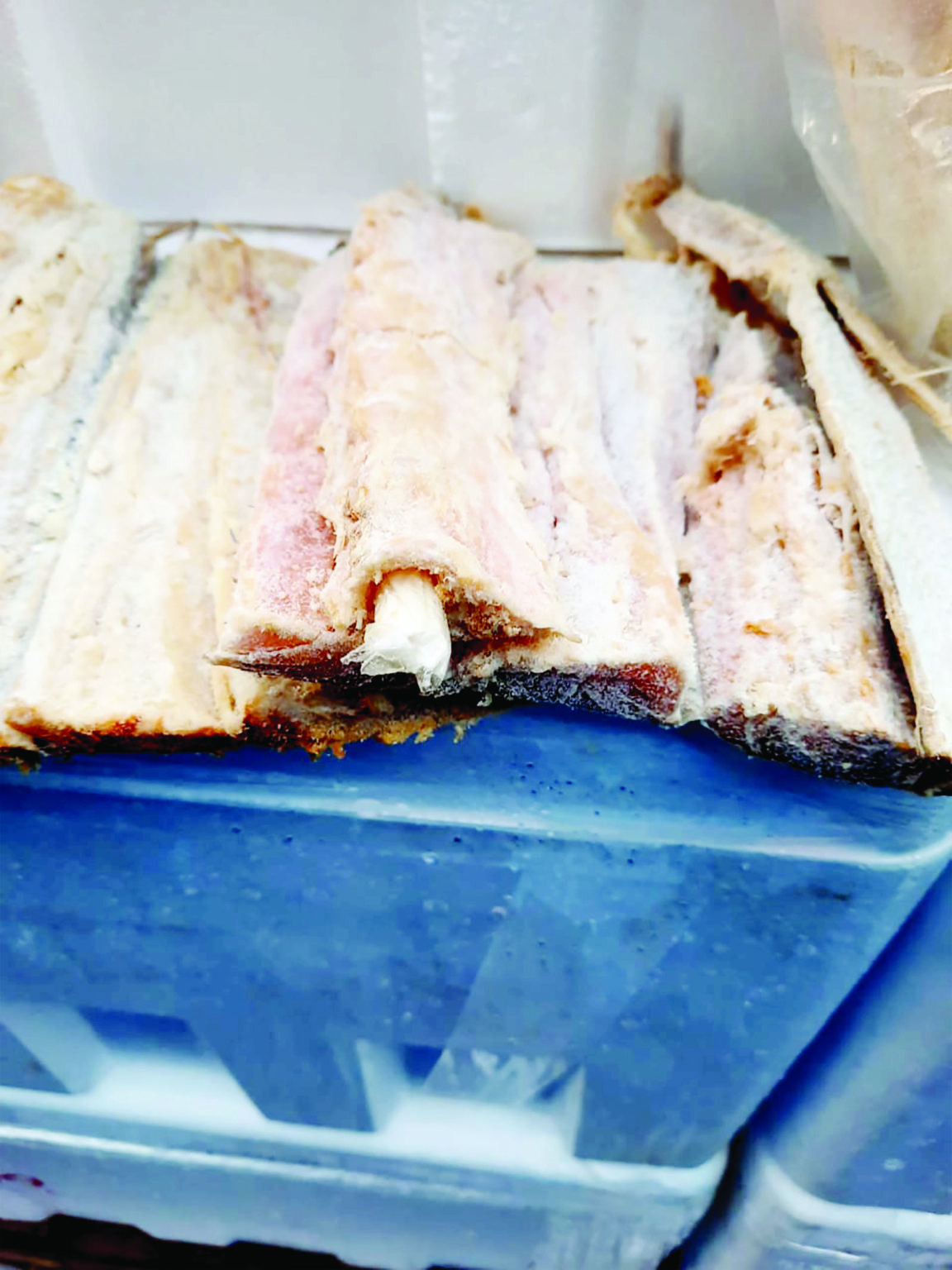 Over 7 lbs cocaine found in salt fish at CJIA - Guyana Times