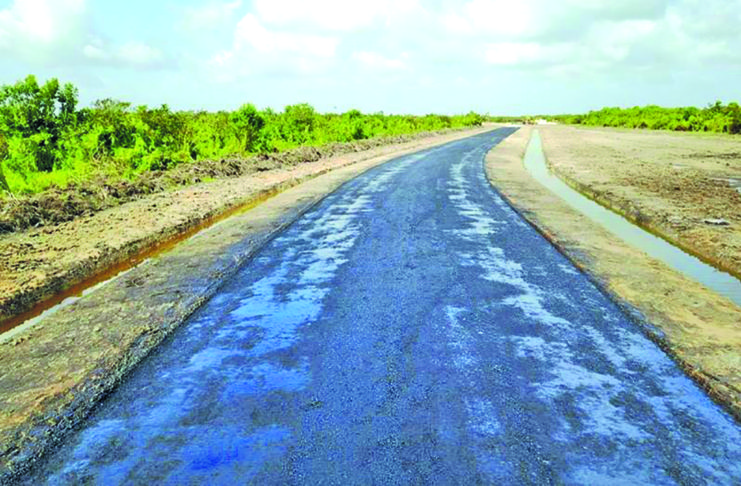 Govt seeking consultant for Ogle to Diamond road project - Guyana Times