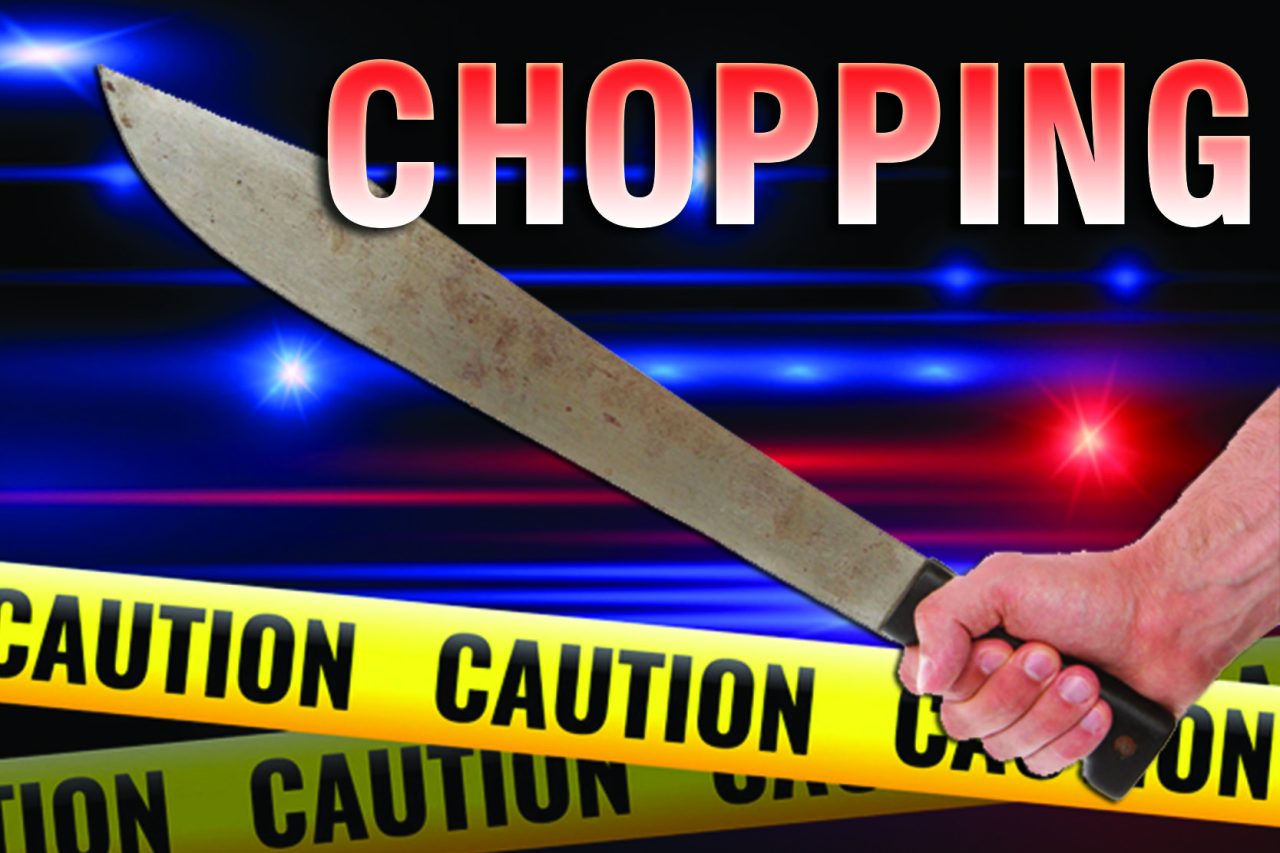 Peacemaker attacked, chopped by brother - Guyana Times